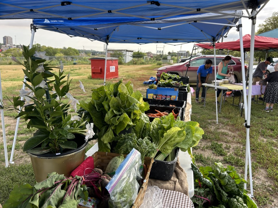 From plot to plate at the Hunger in Moose Jaw farmers market - DiscoverMooseJaw.com - Local news ...